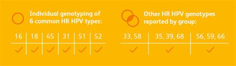 Bd Onclarity™ Hpv Assay Bd