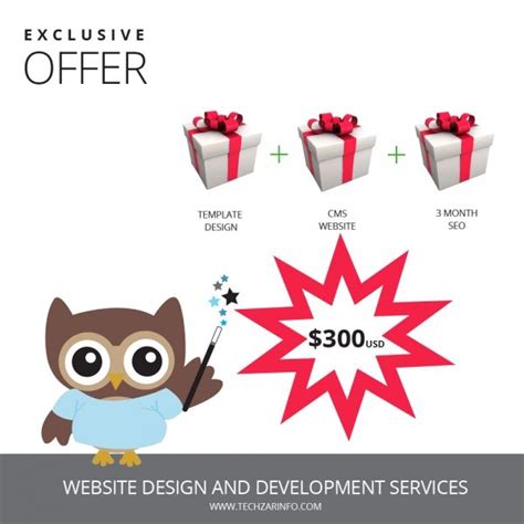 Techzarinfo Web Development Design Website Development Company Website Development