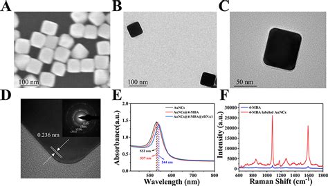 Sers Analysis Platform Based On Aptamer Recognition Release Strategy F Ijn