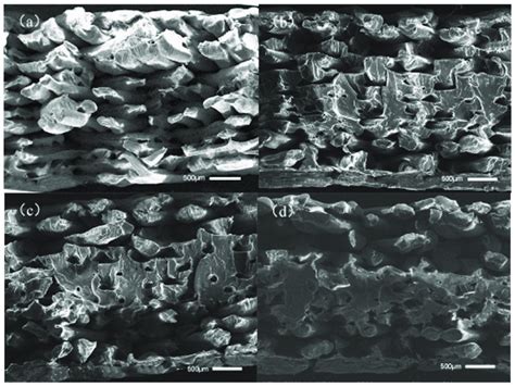 Simulated Section Morphology Of Printed Samples At Different Amplitudes Download Scientific