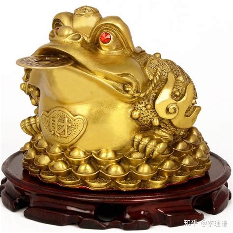 李理谦：金蟾在风水中有什么作用？金蟾的摆放注意事项及风水禁忌 知乎