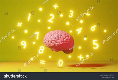 Calculus Brain Images Stock Photos Vectors Shutterstock