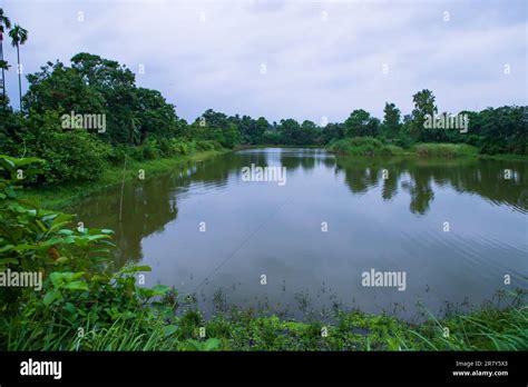 Landscape View Of The Lake Water And Forest Countryside Of Bangladesh
