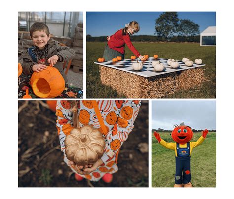 Pumpkin Picking The Pumpkin Patch At Bewholme