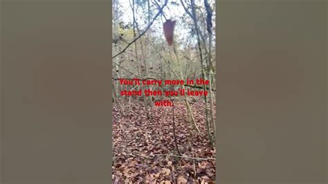 Something Not Everyone Can Understand Is This Lukecombs Countrymusic Viralvideo Nature Deer