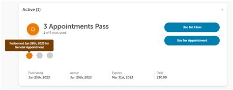 How Do Appointments Interact With Punch Passes Iclasspro Support