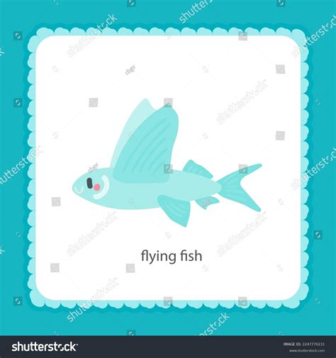 Card Flying Fish Vector Illustration Stock Vector Royalty Free
