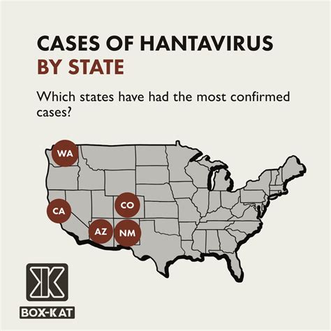 Cases Of Hantavirus By State 2025 Updates Box Kat