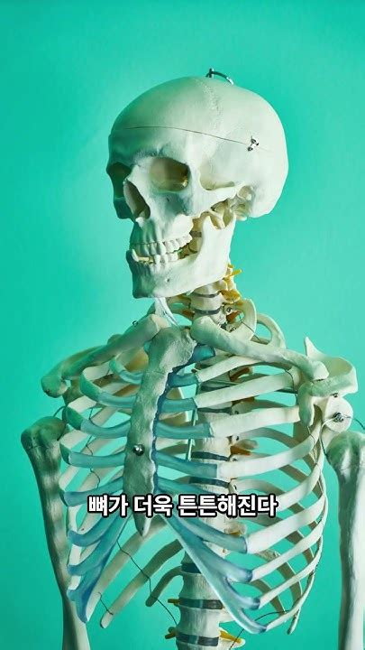 김을 매일 먹으면 나타나는 몸의변화10가지 Shorts Youtube