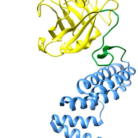 Three Dimensional Structure Representation Of The Native Ttr