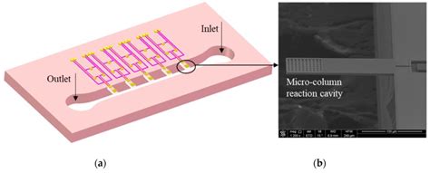 Enhanced Binding Efficiency Of Microcantilever Biosensor For The