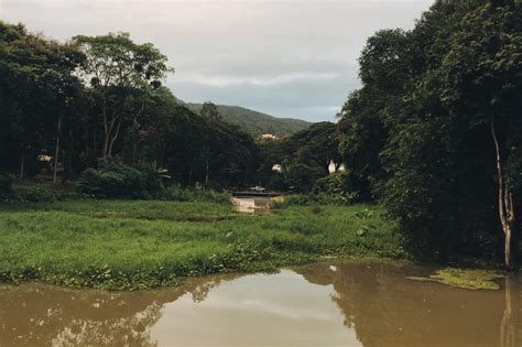 무료 이미지 수자원 자연 경관 자연 환 경 초목 자연 보호 구역 나무 하늘 밀림 황야 생체 반사 은행 수로 물줄기 농촌 지역 호수 수변 지역