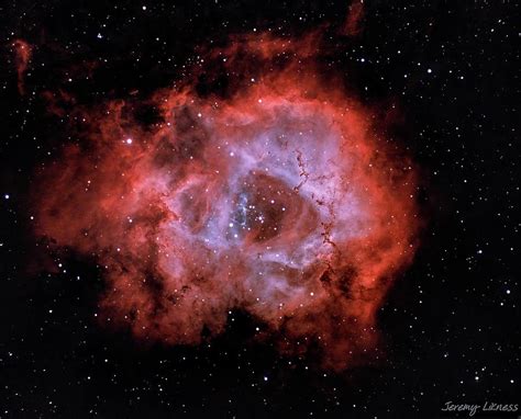 The Rose Revealed Photograph By Jeremy Likness Fine Art America