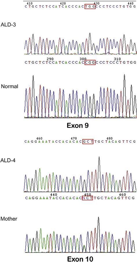 Missense Mutations Identified In Exon 9 C 1978c T And 10 C 2006a G