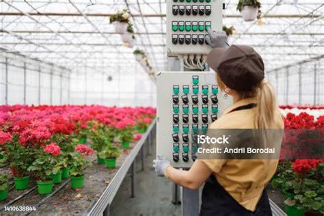 균일 한 여성 꽃 온실 노동자는 제어판의 관개 시스템을 제어합니다 꽃집 주인에 대한 스톡 사진 및 기타 이미지 꽃집 주인 전기 연료 및 전력 생산 개화기 Istock