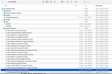 Bug Apache Shenyu Agent Tid Is Null · Issue 9598 · Apacheskywalking