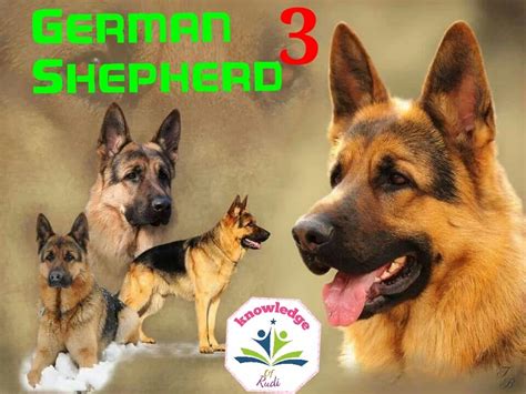 Knowledge From Rudi දැනුමට බිදක් කිතුණු දහම කිතු දහමේ නිර්මාතෘවරයා ජේසුස් ක්‍රිස්තුස්