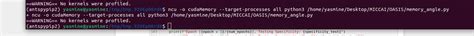 how to run nsight compute to get a bar graph for the floating operations nsight compute