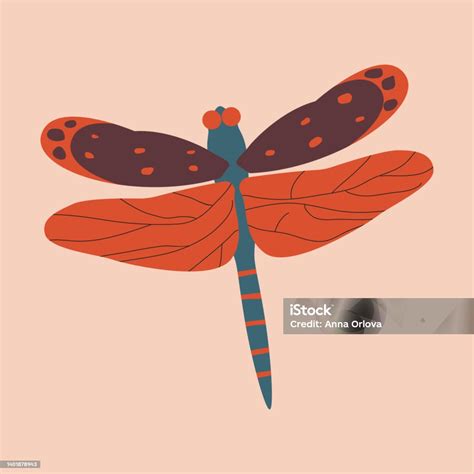 화려한 날개를 가진 아름다운 잠자리 플랫 벡터 일러스트 레이 션 곡선에 대한 스톡 벡터 아트 및 기타 이미지 곡선 곤충 나비 Istock
