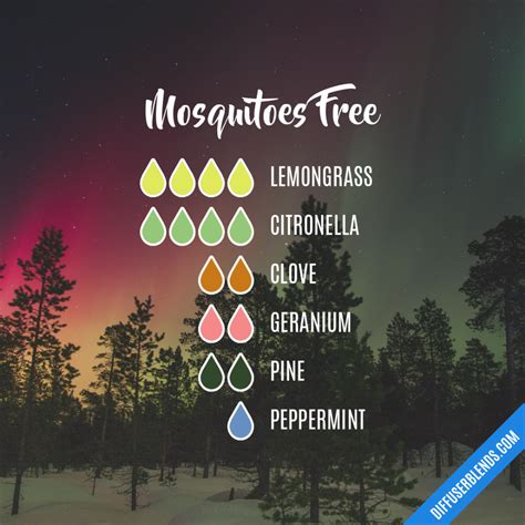 Mosquitoes Free Essential Oil Diffuser Blends Recipes Essential Oil