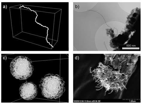 A Cnt Model As A Chain Formed By A Concatenation Of 100 Spheres B Download Scientific