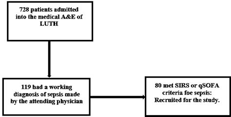 Flow Chart Of Participant Recruitment Download Scientific Diagram