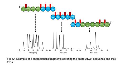 Lcms Oligo Nmr Chromatography Asos Matthew Lauber