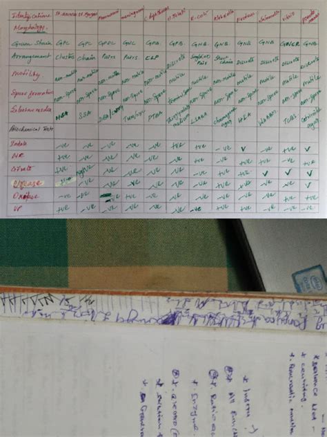 Adobe Scan 10 Dec 2024 Pdf