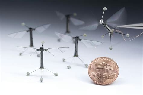 Robotic Insects Make First Controlled Flight