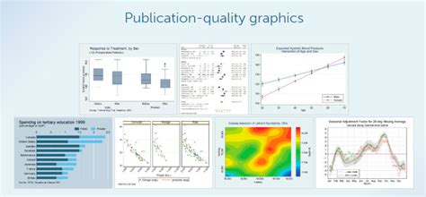 Do Statistical Analysis Using Stata By Johnanalyst Fiverr