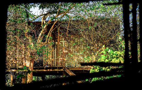 Dvb အိမ်ရှင်ပြန်အလာကို စောင့်နေသည့် မုန်းဒိန်ပါကျေးရွာက စစ်ဘေးရှောင်တို့၏ နေအိမ်များ ဓာတ်ပုံ