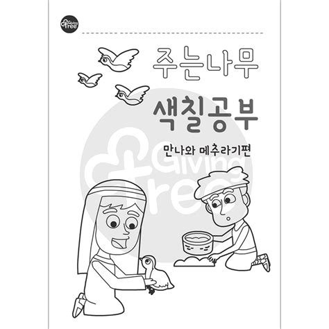 만나와 메추라기 색칠공부