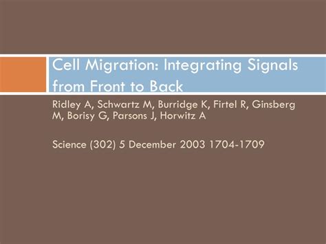 Ppt Signal Pathways In Cell Migration And Adhesion Powerpoint Presentation Id 252026