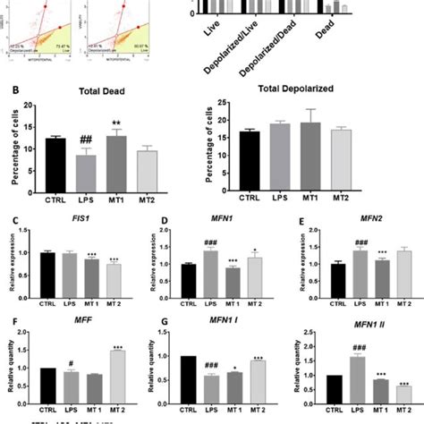 Regulation Of Mitochondrial Metabolism And Dynamics Oxidative Stress Download Scientific
