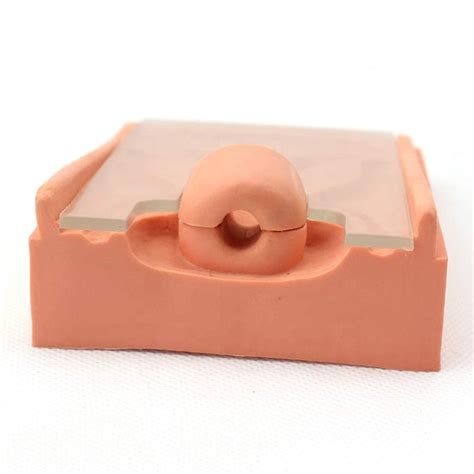 Educational Model Female Contraceptive Training Model Medical