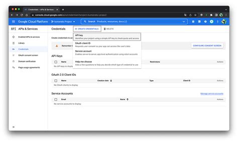 Get A Gcp Api Key Kumaneko Docs