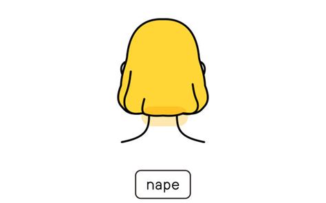 20 Nape Of Neck Stock Illustrations Royalty Free Vector Graphics