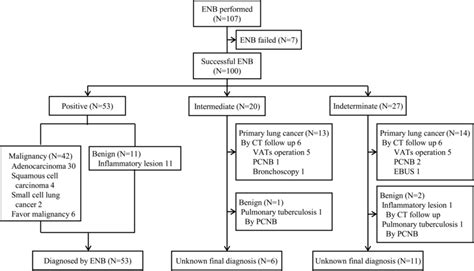 Flow Chart Of Final Diagnosis Of Enb Performed Nodules Download