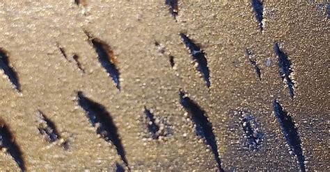 Texturing Tool Not Lining Up Album On Imgur