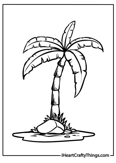 Date Palm Tree Coloring Pages