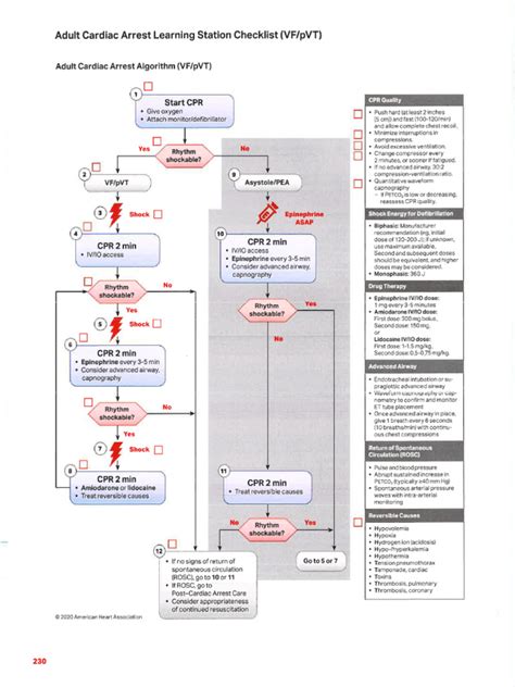 Aha Algorithmspdf Pdf