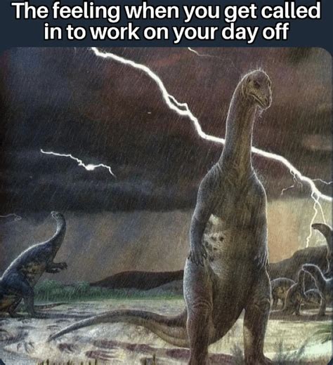 And Now For Something Completely Different Dinosaur Memes