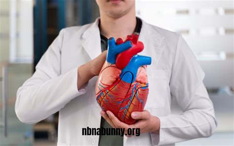 Understanding The Coronary Sinus Functions And Health Issues