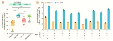 If 32 10，朱健康院士团队开发全新体内高效基因编辑器cas Sf01 知乎