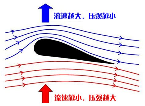 伯努利原理 飞机 纸飞机原理 伤感说说吧
