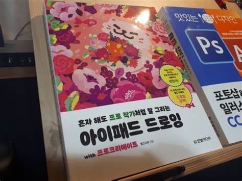 혼자 해도 프로 작가처럼 잘 그리는 아이패드 드로잉 사락리뷰