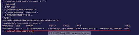 Docker 安装 MySQL图文教程 犬小哈教程