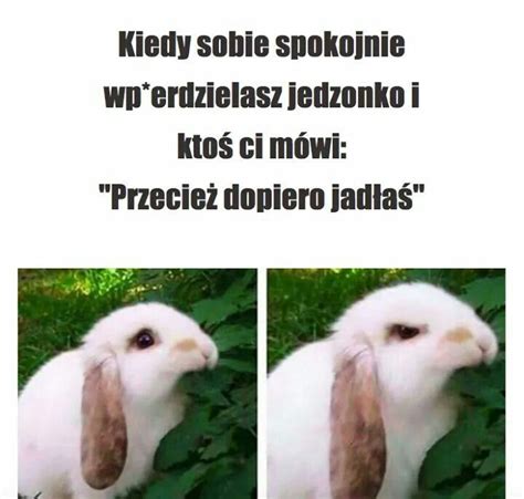 Pin On Memes śmieszne I Cute Polish Memes Best Funny Pictures