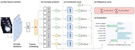 Concept Based Explainable Malignancy Scoring On Pulmonary Nodules In Ct Images Ai Research