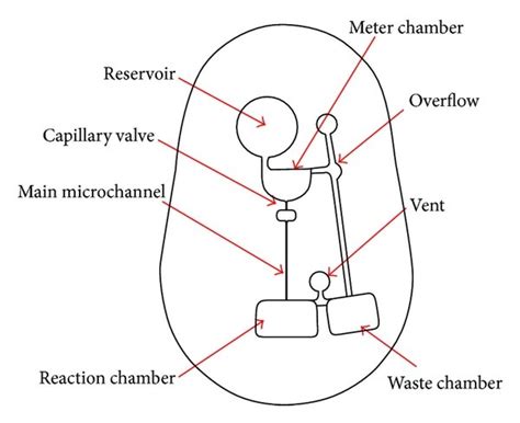 Design Of Radial Microfluidic Chip Download Scientific Diagram